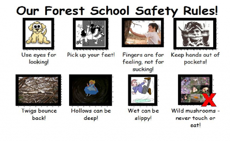 Forest School - Naphill and Walters Ash School